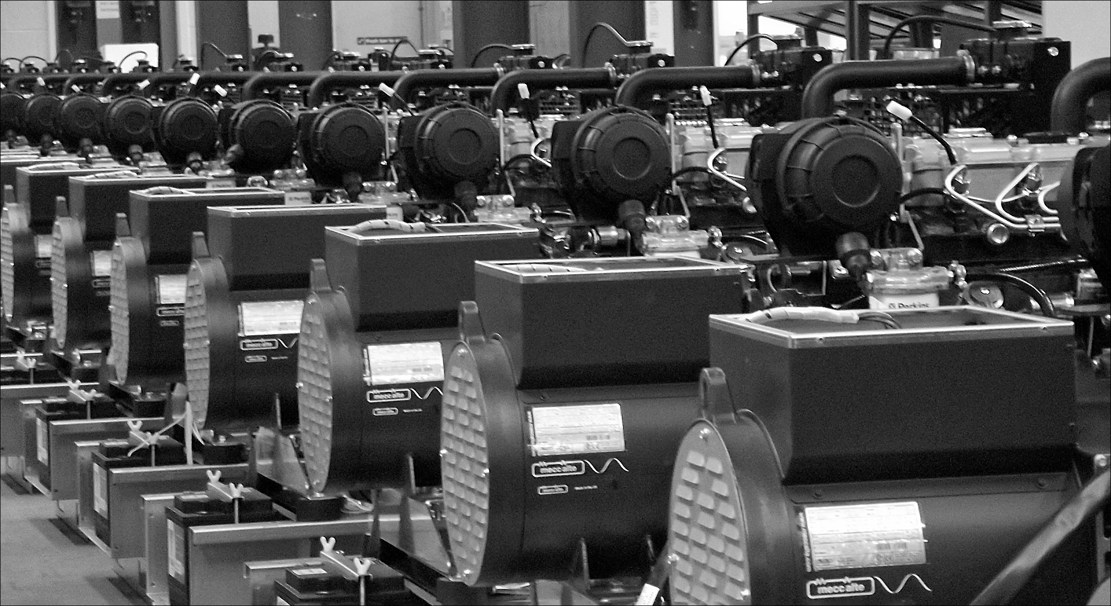 Allam Marine Ltd | Careers